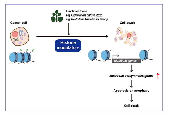 Nutriepigenomics Laboratory