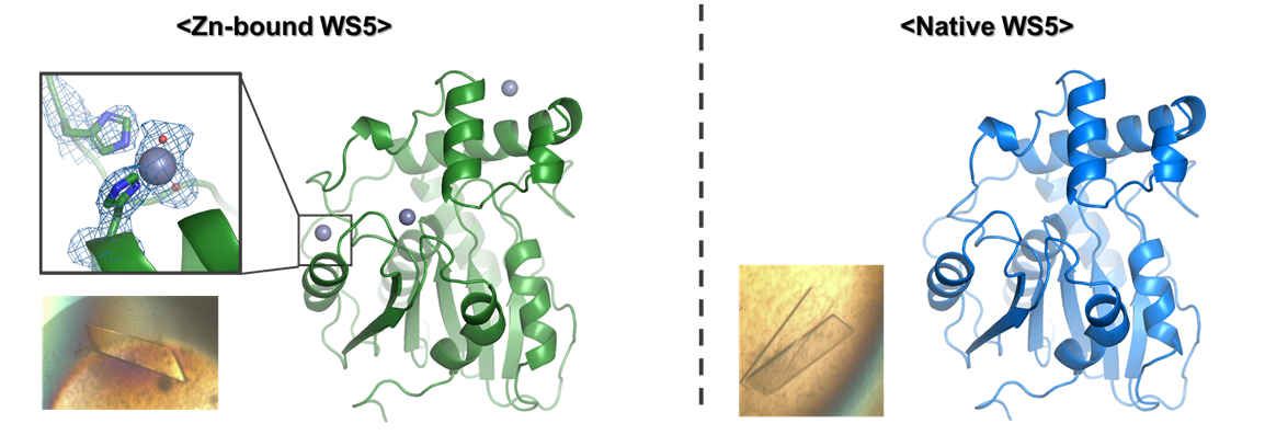 WS5 | Protein Research Laboratory